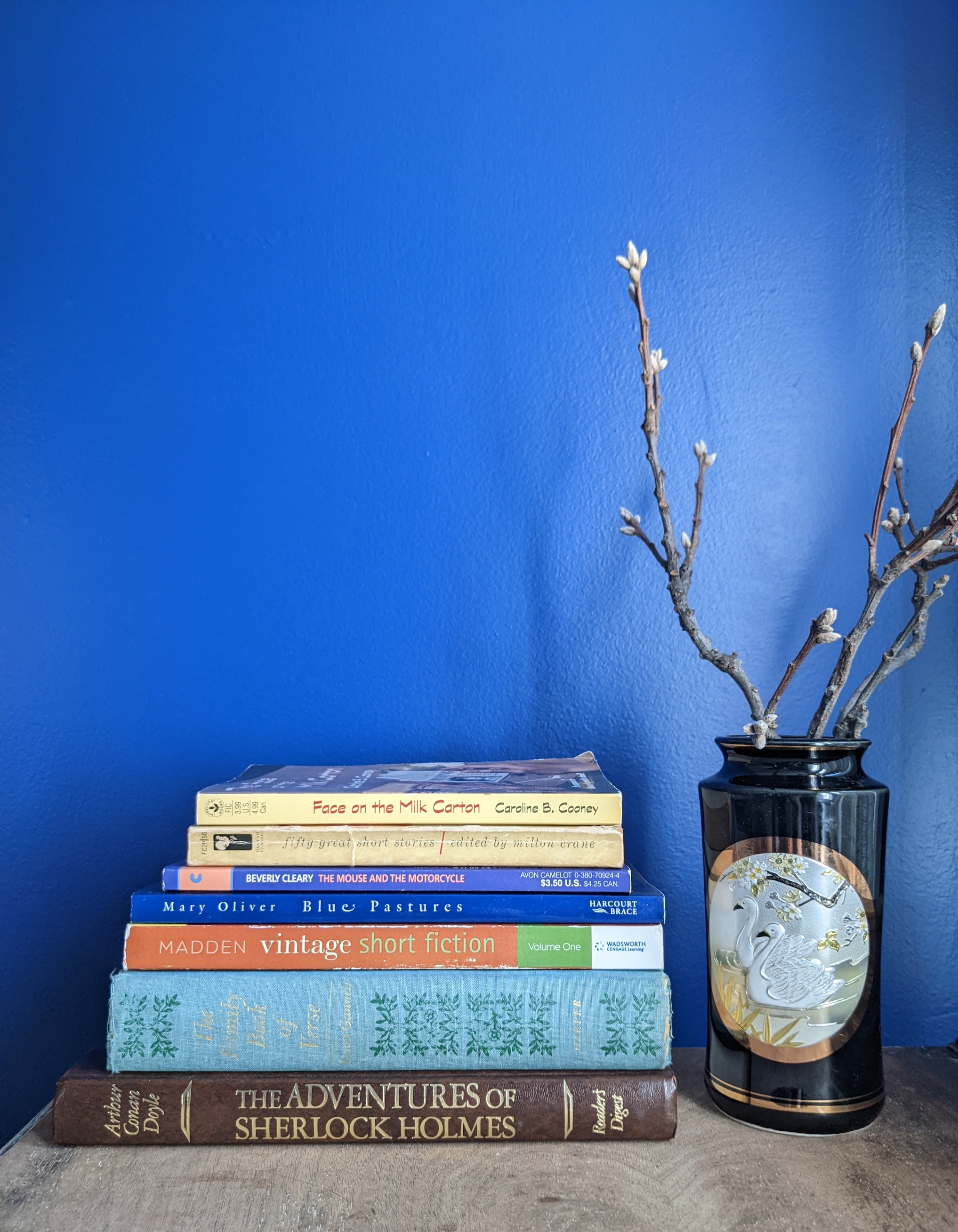 Assigned Reading – Mariam Sultan